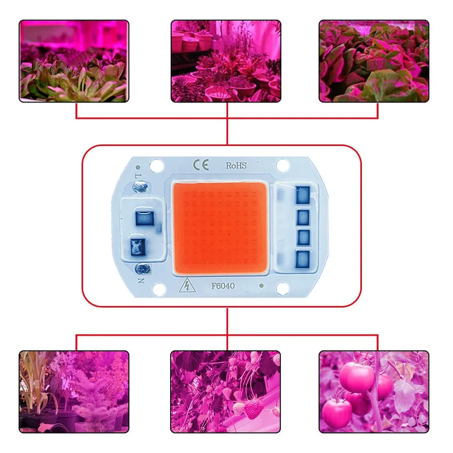 DHgate.com:High-Power COB LED Grow Light, Full Spectrum Plant Light for ...
