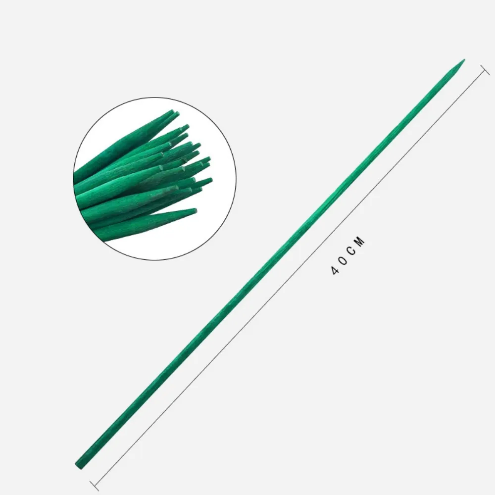 DHgate.com:Bamboo Plant Sticks for Gardening: 20Pcs Green Orchid ...
