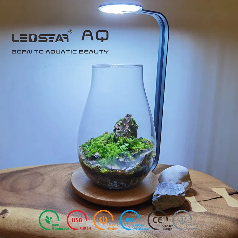 2024LED Plant Light, Artificial Moss Light, Succulent Light, USB ...