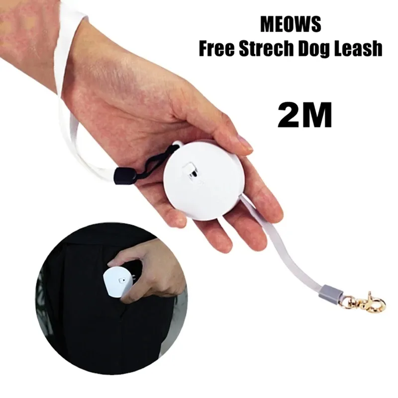 Retractable Pet Leash: 2m Mini Pocket Automatic Leash With Adjustable ...