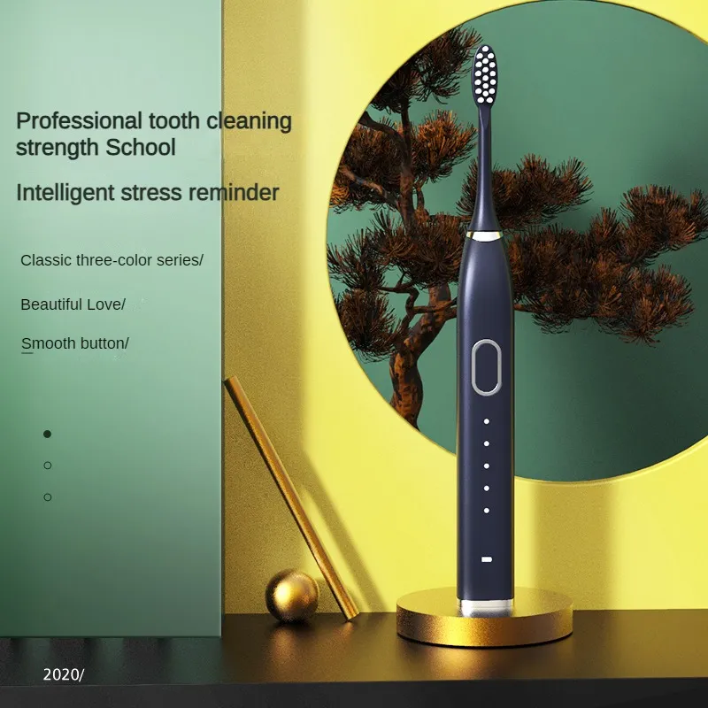 Ultrasonic Electric Toothbrush with Travel Case USB Rechargeable Soft ...