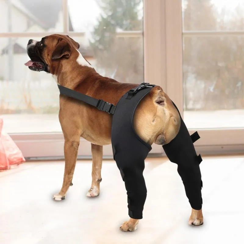 DHgate.com:Adjustable Dog Leg Braces - Rear Leg Support for Injury ...