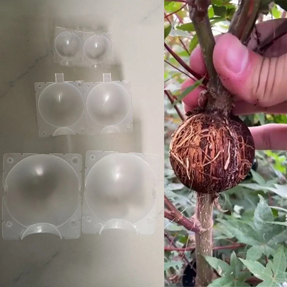 DHgate.com:High-Pressure Plant Rooting Ball - Easy Fruit Tree Grafting ...