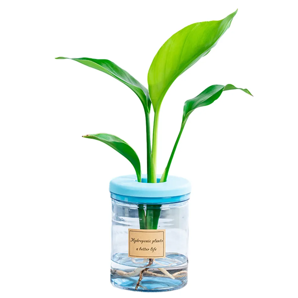 Clear Crystal Water Planting Bonsai Pots, Vase-Shaped Plastic Tabletop ...