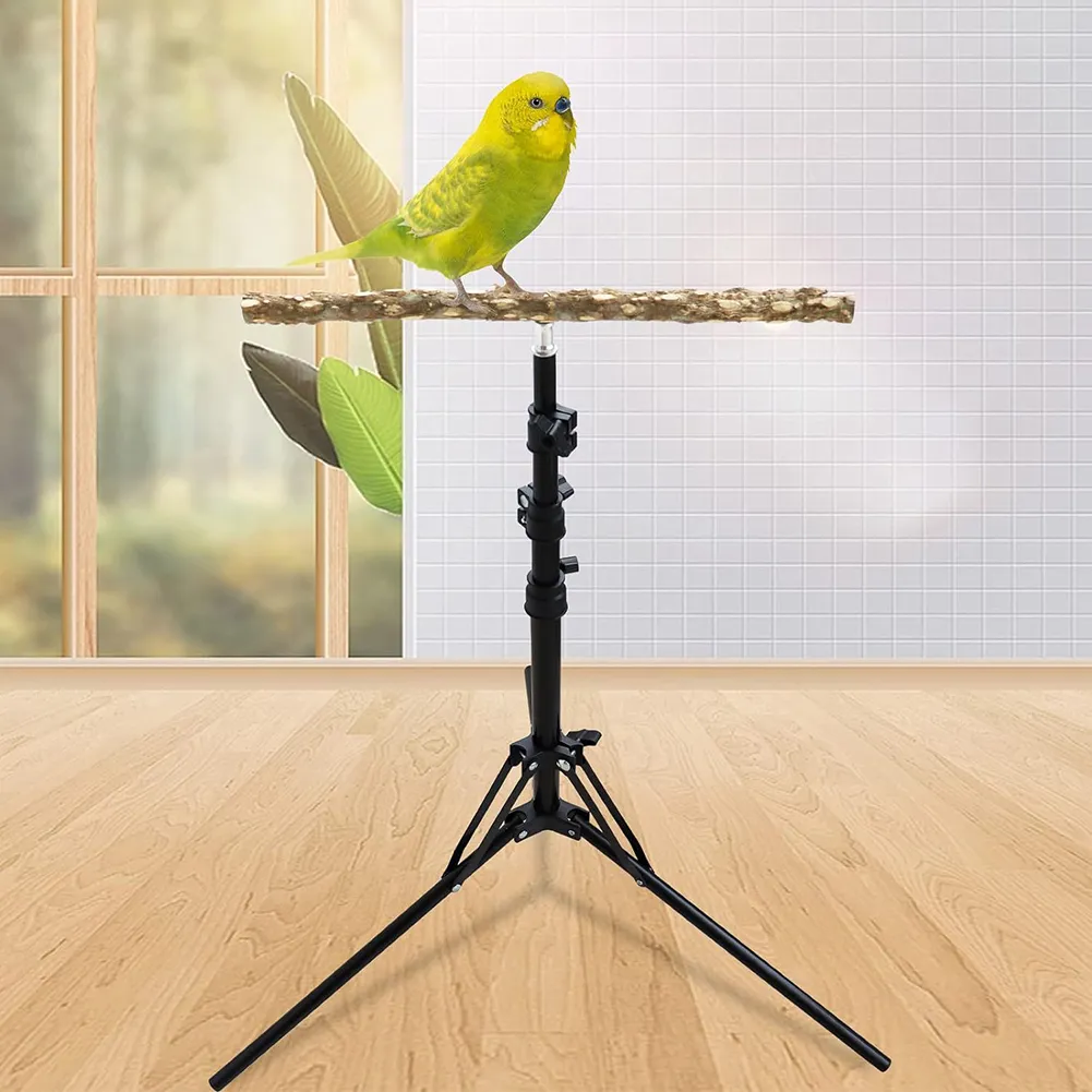 Height Adjustable Bird Perch Stand for Small to Medium Birds - Indoor ...