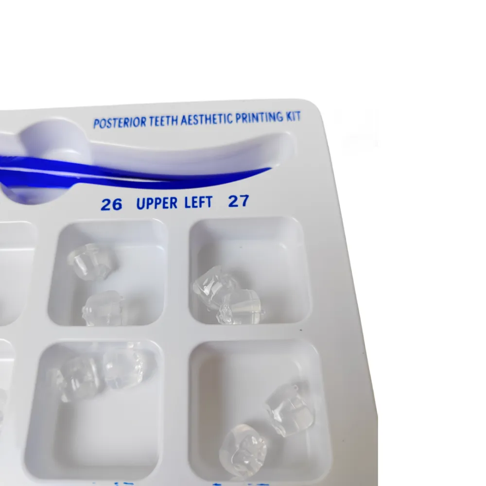 DHgate.com:Aesthetic Resin Dental Posterior Teeth Mould Kit for Perfect ...
