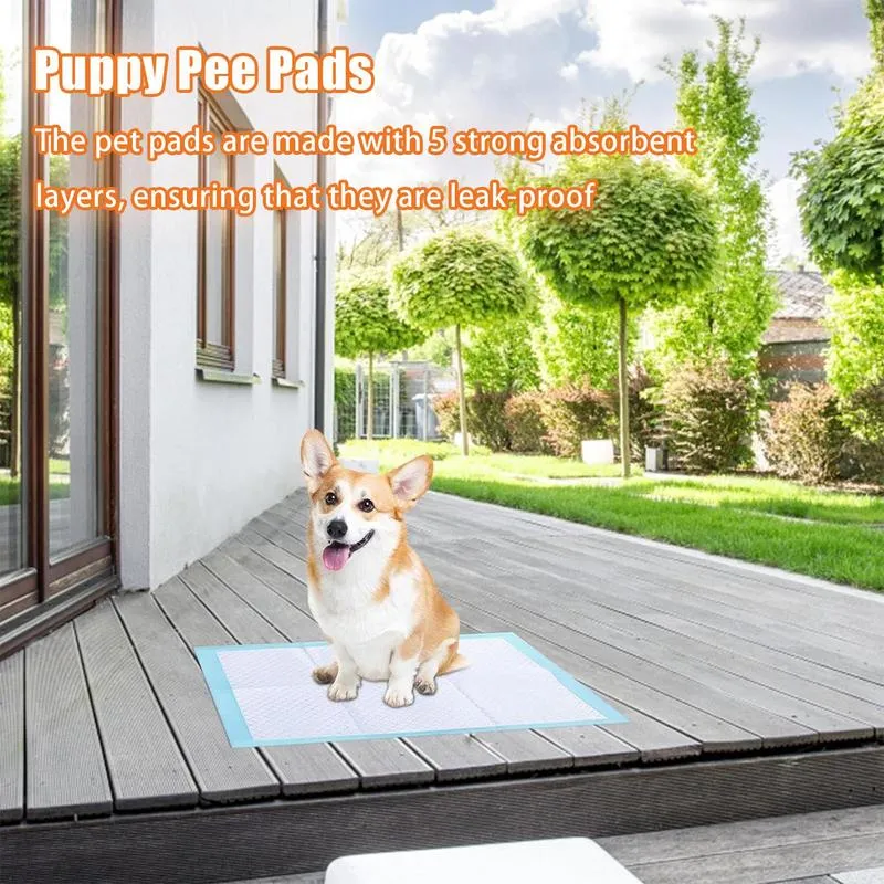 Super Absorbent Pet Diapers for Dogs & Cats, Disposable Training Pee ...