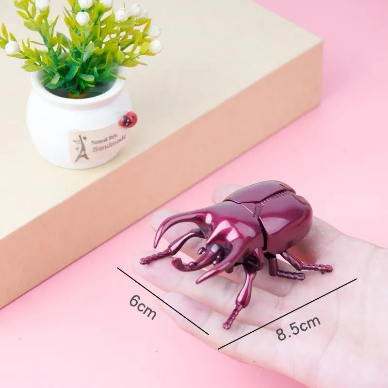 DHgate.com:Animated Wind-Up Scarab Beetles | Set of 3 Creative ...
