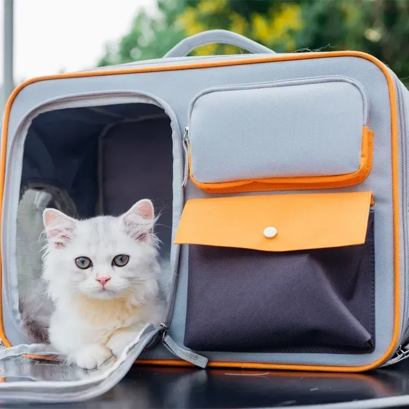Cat Carrier Backpack, Multifunctional Breathable Pet Travel Bag ...