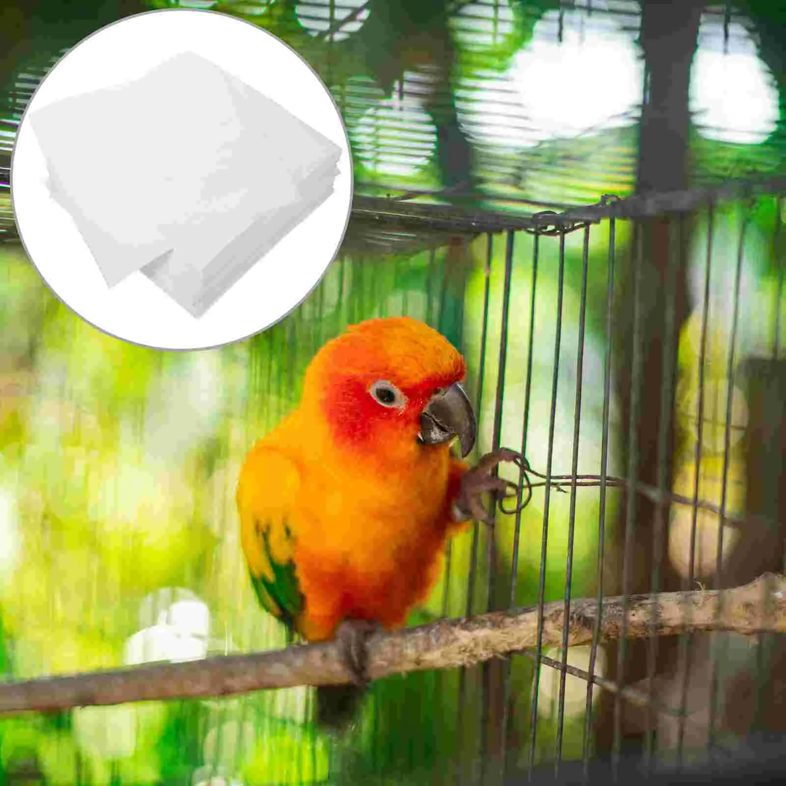 Washable Absorbent Urine Pads - 50ct Bird Bed Sheet Replacement Liners ...