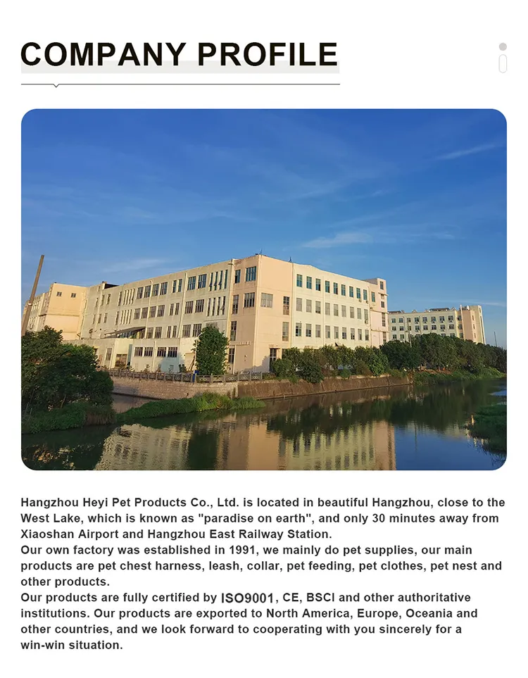 Rechargeable Anti-Bark Dog Collar with Shock Control for Effective ...