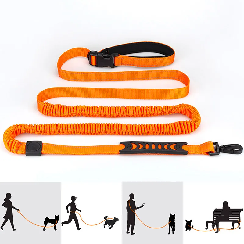 High-Quality Retractable Hands-Free leash with Dual Handle and ...
