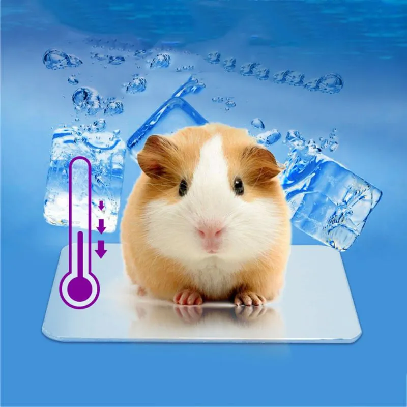 Cool Aluminum Pet Cooling Mat - Perfect for Rabbits, Hamsters & More ...