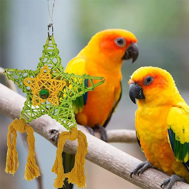 DHgate.com:Premium Quality Bird Chew Toy - Natural Wood Parrot ...