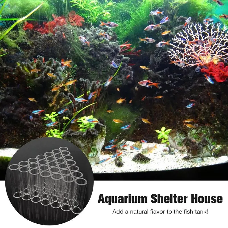 Aquarium Shelter Tube: Acrylic Fish Habitat Hiding Tube, Transparent ...