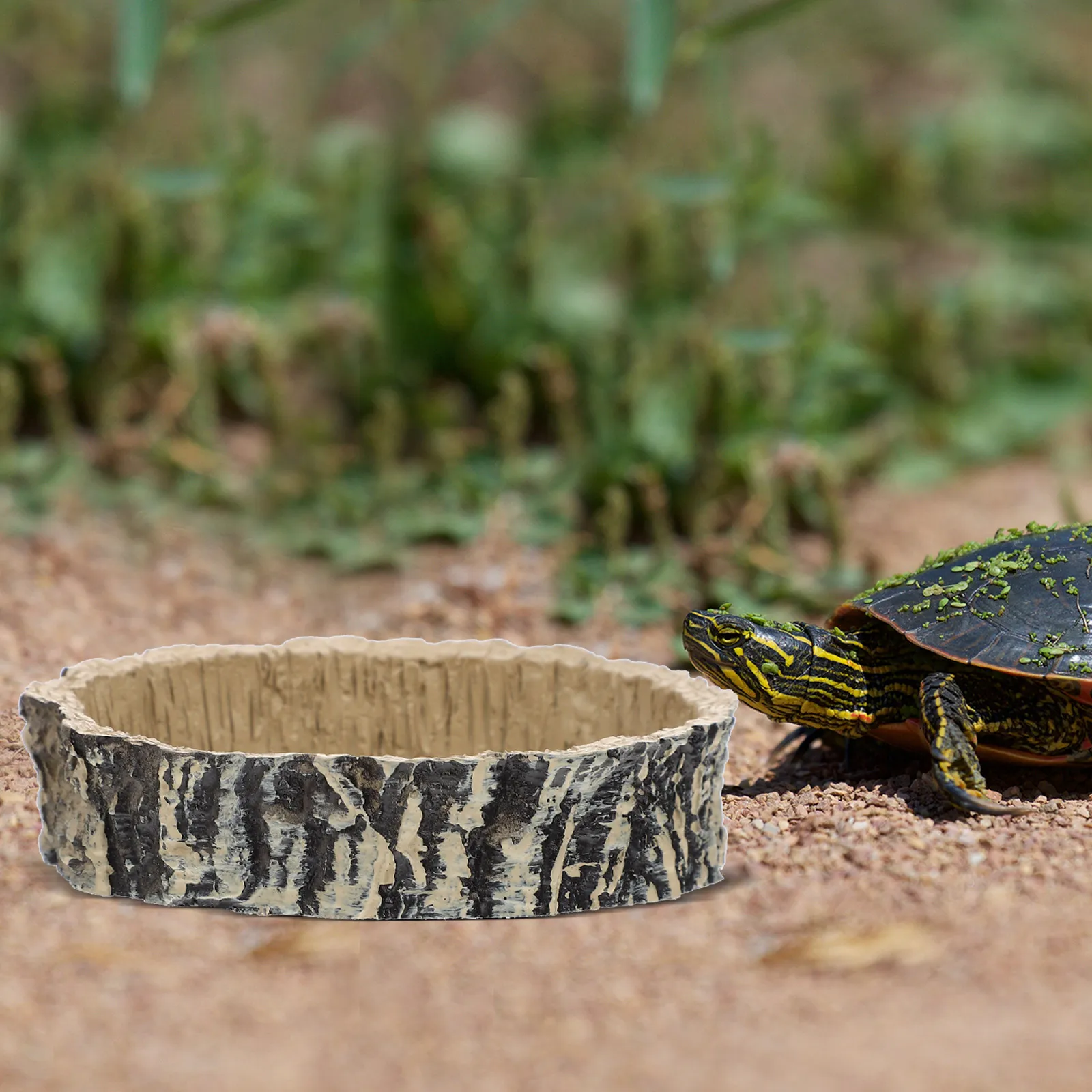 Reptile Water Dish & Food Dish With Bottle, Automatic Refilling Water