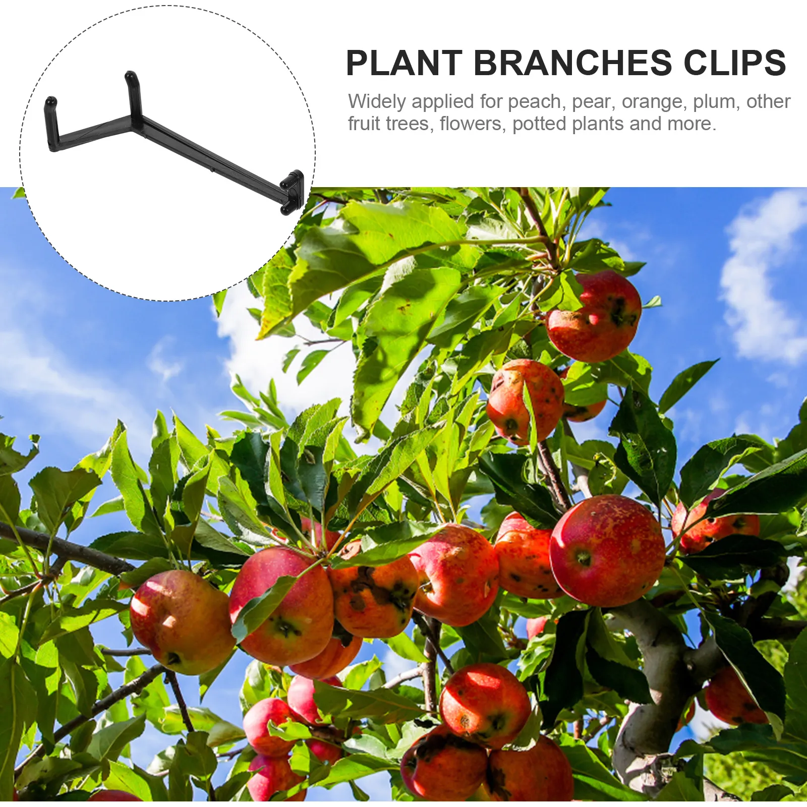 DHgate.com:Premium Branch Spreaders for Fruit Trees - Heavy-Duty Limb ...