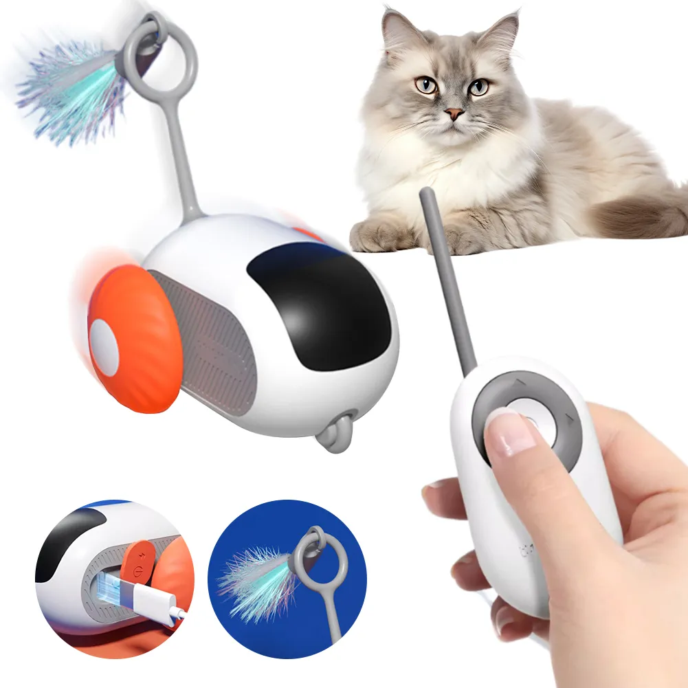 Intelligent Cat Car Toy: Interactive USB Charging Electric Cat Toy for ...