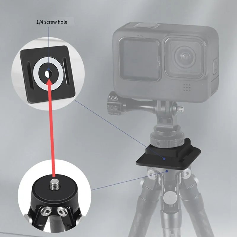 Arca-Swiss Quick Release Magnetic Cold Shoe Mounts for Photo Tripods, 1 ...