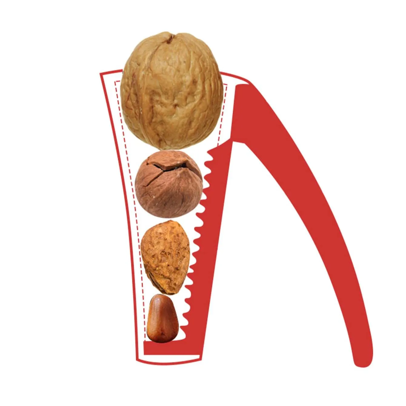DHgate.com:2024Multifunctional Nutcracker Tool | Effortless Shelling ...