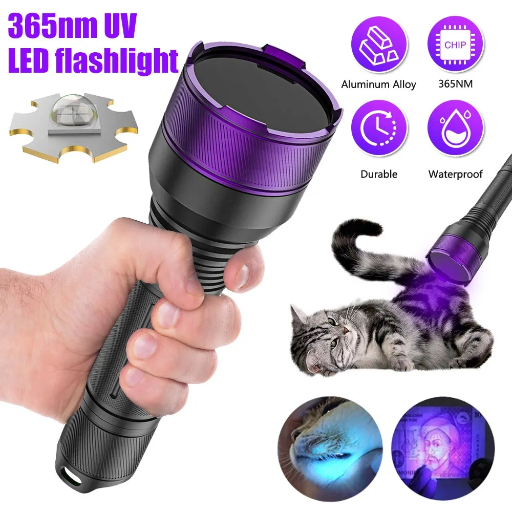 UV Flashlight, 365nm LED Black Light, Rechargeable USB-C, Long Service ...