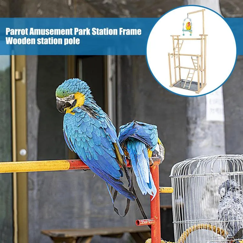 DHgate.com:Wooden Parrot Playpen: Safe Bird Gym Stand with Ladder for ...