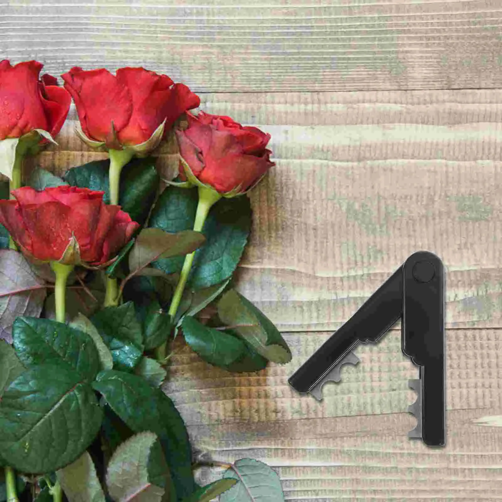 Rose Thorn Remover Near Me Rose Thorn Remover Tool, Leaf Stripper For ...