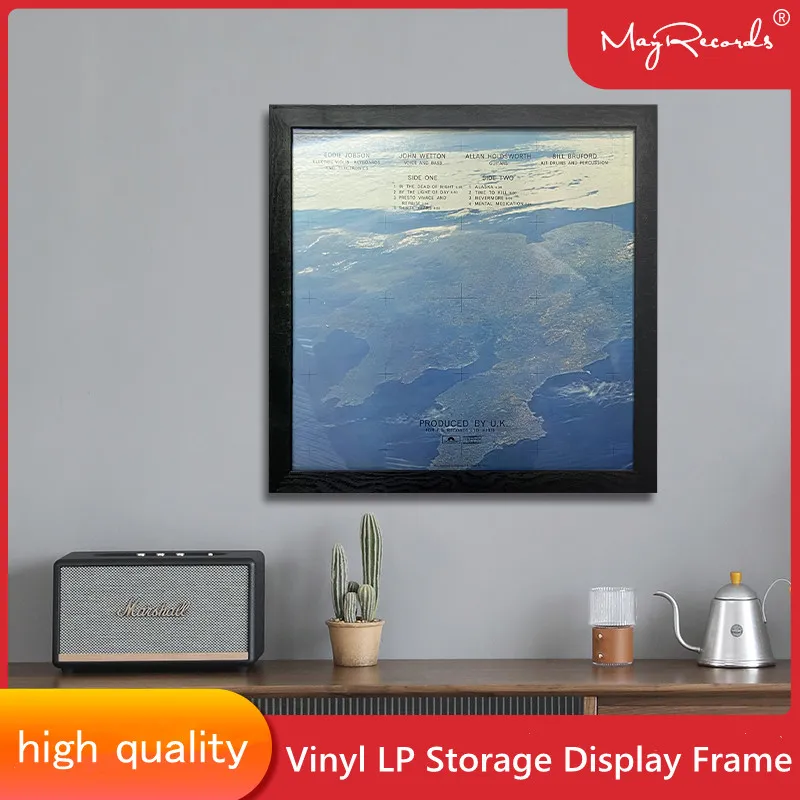 Vinyl Records Wall Decor: LP Album Frames for Vinyl - Picture Frames ...