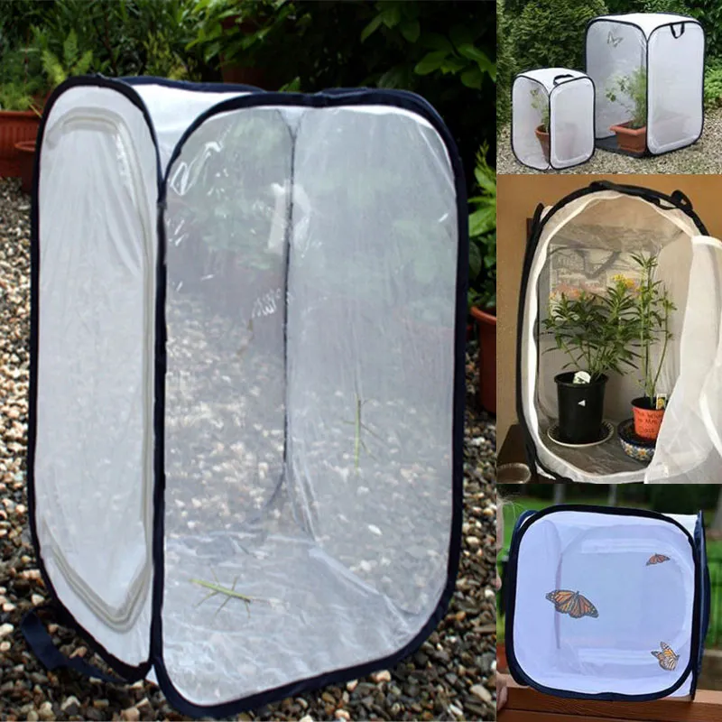 Pop-Up Butterfly Habitat Cage - Collapsible Insect Mesh Netting Plant ...