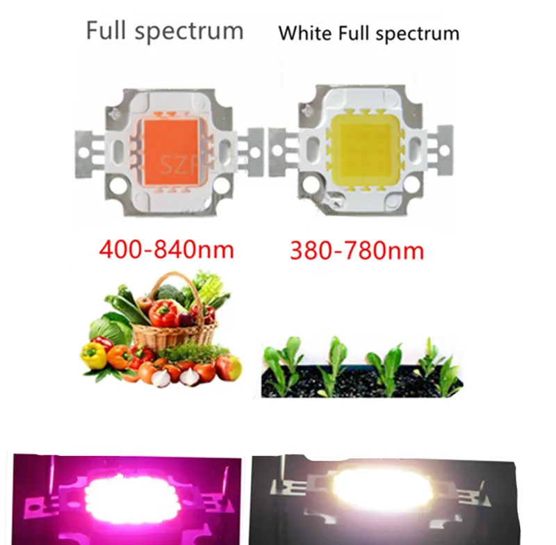 DHgate.com:Pink LED Grow Light, 10W Full Spectrum Plant Lamp Diodes for ...