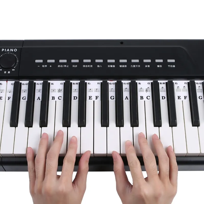 DHgate.com:Piano Keyboard Stickers: 61 & 88 Keys Removable Piano Key ...