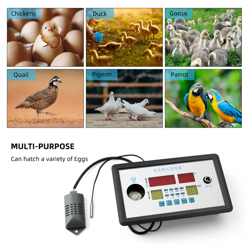 Hygrometer for Incubator: Digital Temperature Humidity Controller with ...