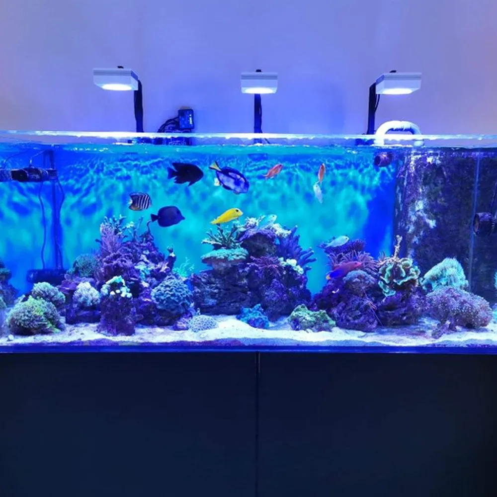 PopBloom 100W Saltwater Aquarium Reef LED Lighting for Marine Coral ...