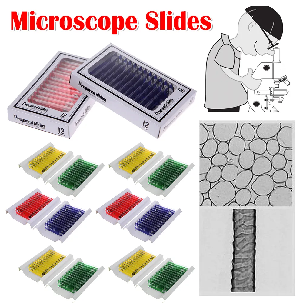 Educational Plant & Flower Biology Science Specimen Kit - Prepared ...