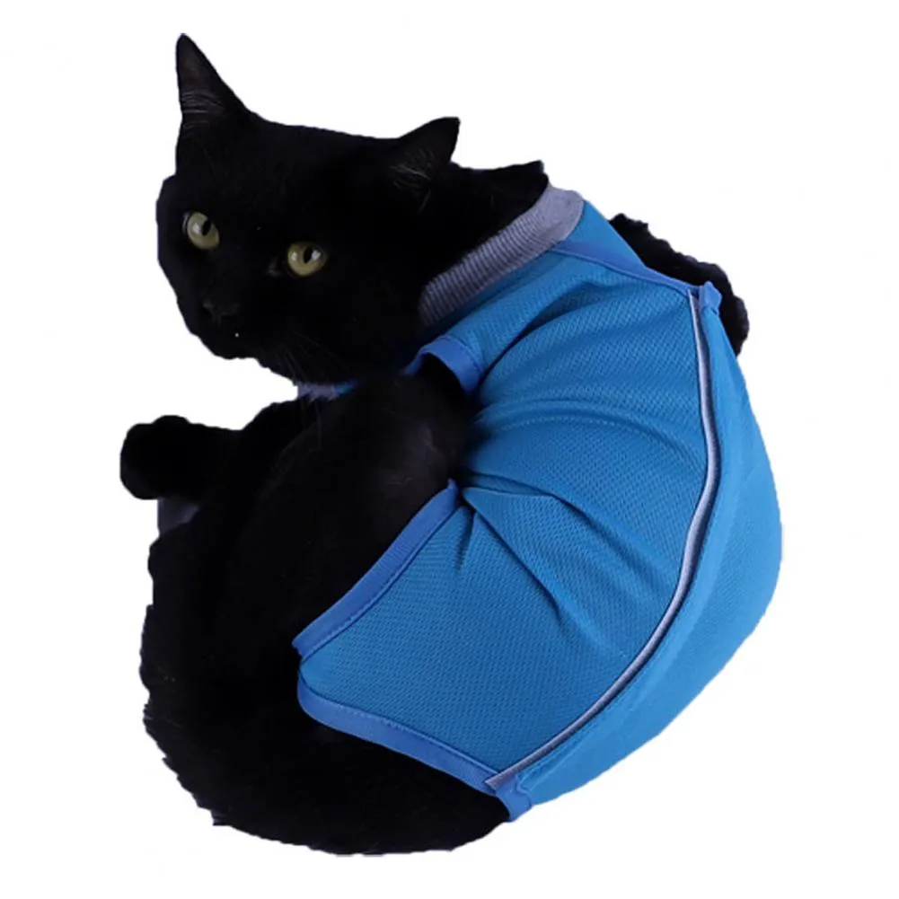 Cat Surgery Recovery Kit Cat Neutering Suit Cat... From Dh1100072003 ...