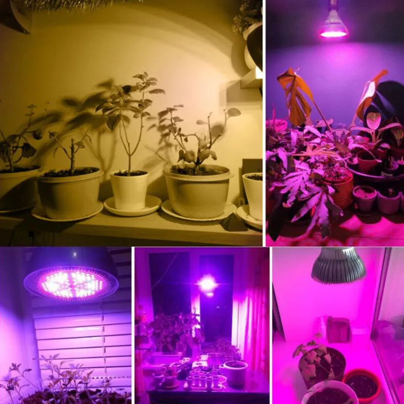 High-Efficiency LED Grow Light Bulb, 300W Full Spectrum Plant Light ...