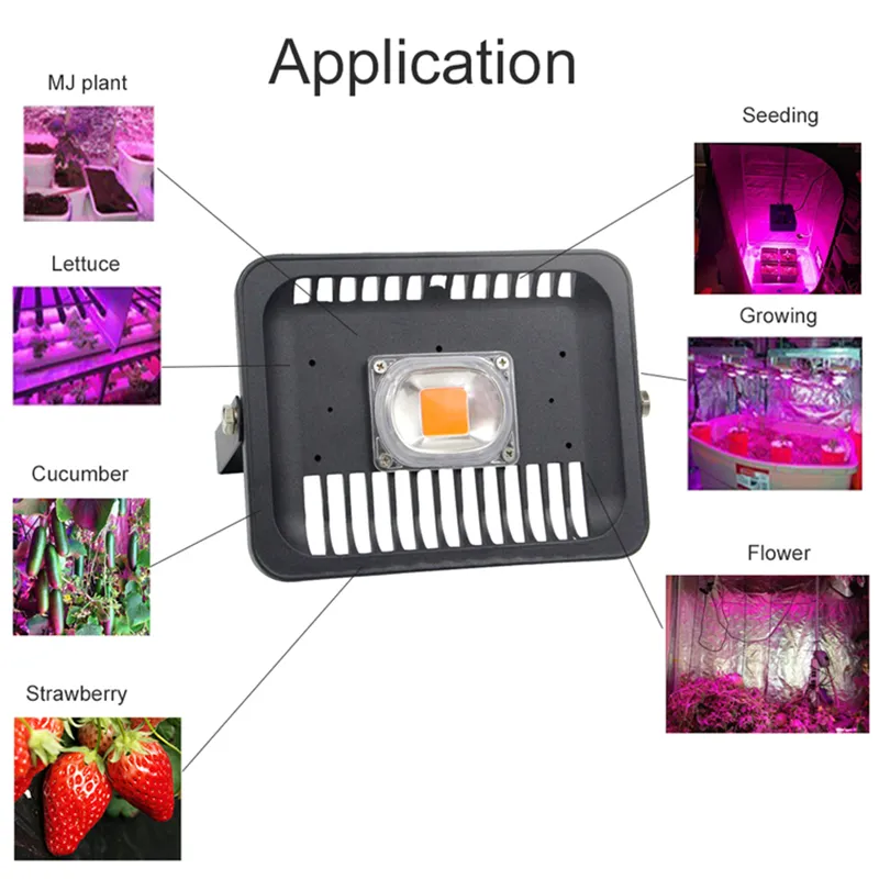 60W-200W LED Plant Grow Light, Waterproof IP66 Outdoor Lamp with EU ...