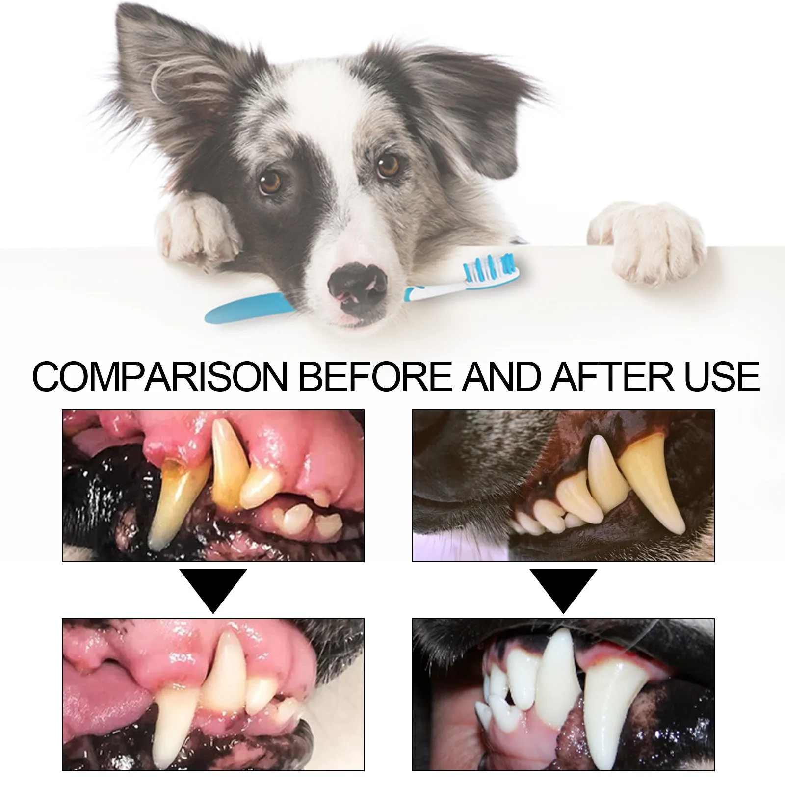 100g Pet Toothpaste For Tartar, Teeth, And Stain Removal Oral Dental ...