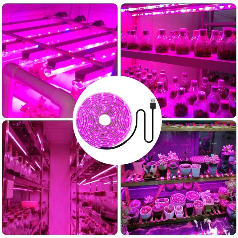 DHgate.com:Full Spectrum Grow Light Strip, USB 2835 LED Phyto Lamp for ...