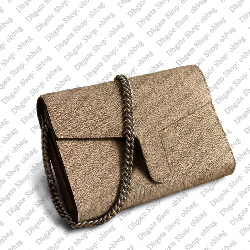 Designer Mini Wallet On Chain Bag Canvas Handbag, Beige Shoulder Bag ...