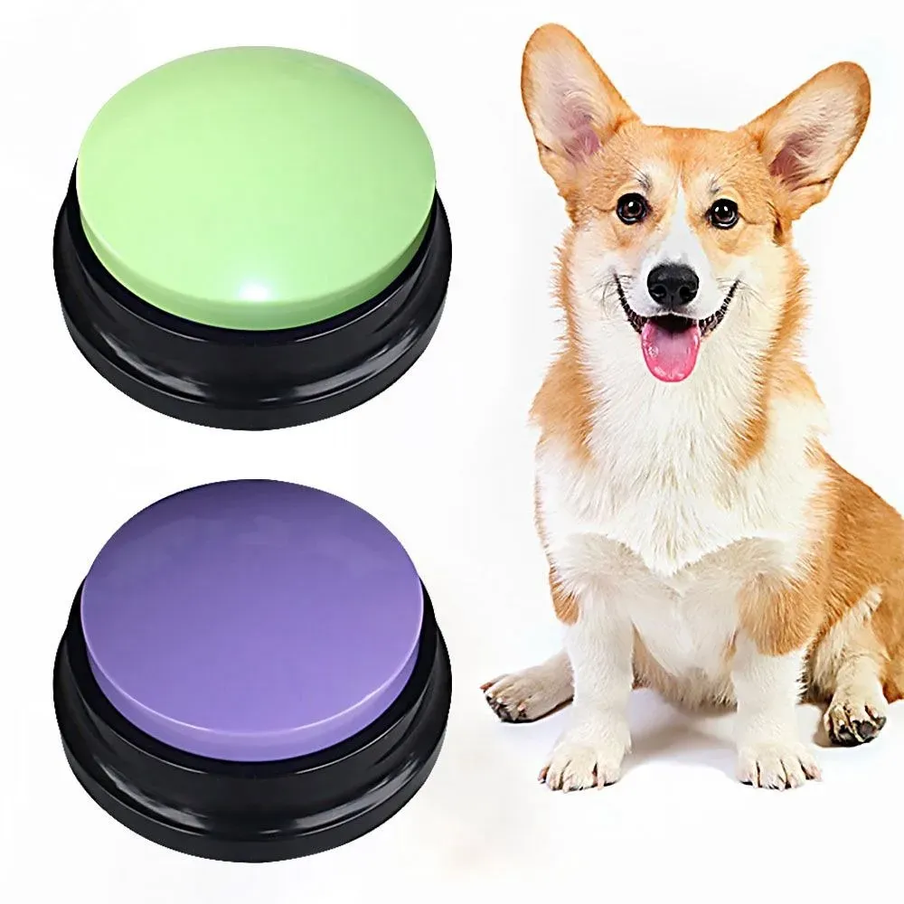 Interactive Talking Green Buttons For Kids And Pets Recordable ...