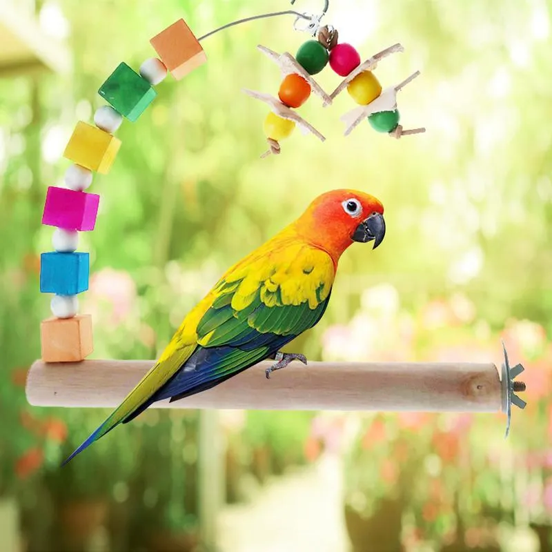 Parrot's Paradise: Wooden Swing Perch with Colorful Chew Beads, Perfect ...