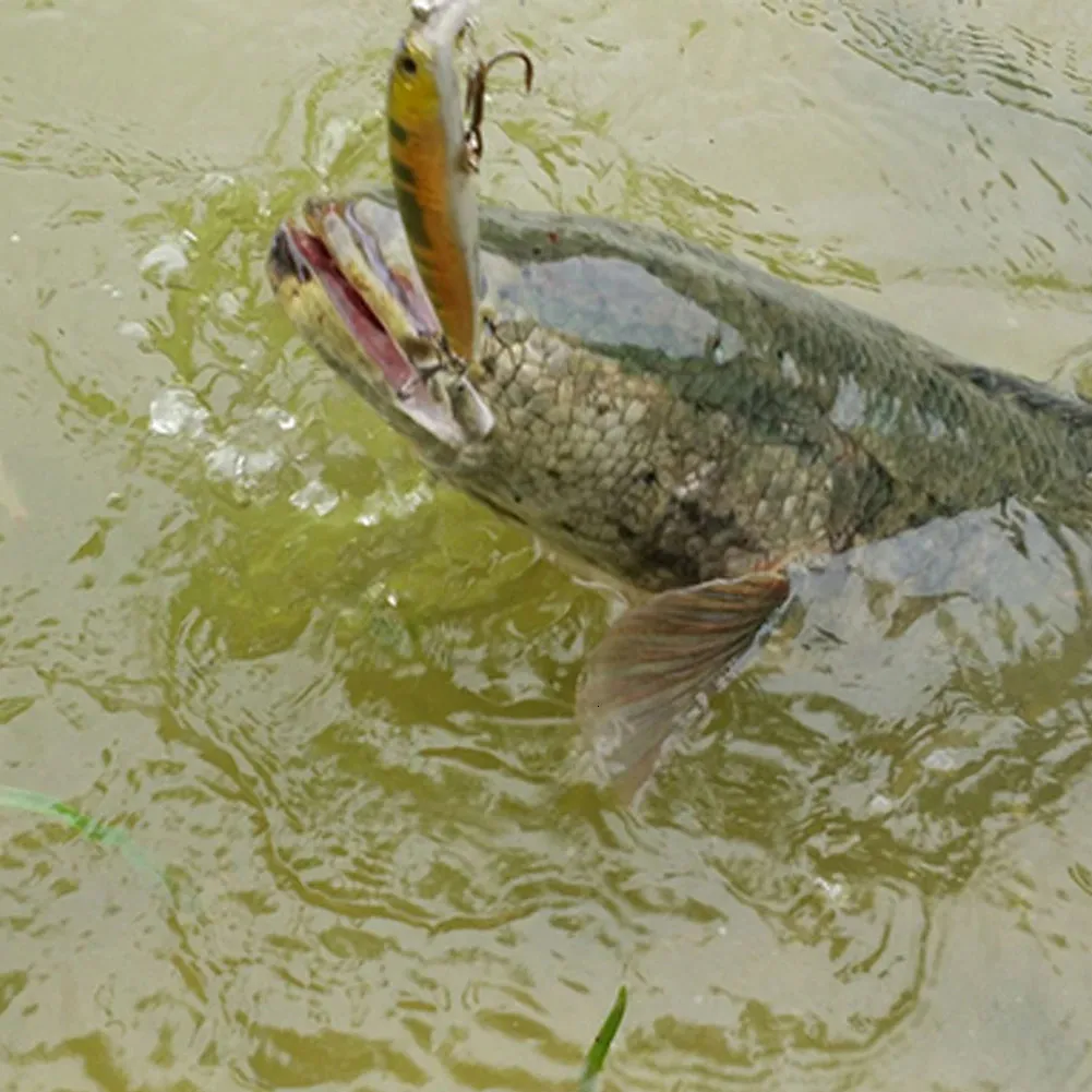 Free Fisher Fishing Hooks, 3551 Triple Hooks, High Carbon Steel Sharp ...