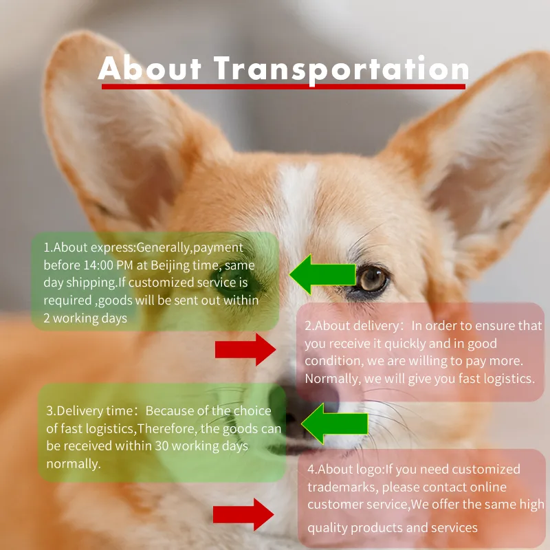 DHgate.com:Professional VG10 Steel Curved Pet Grooming Scissors for ...