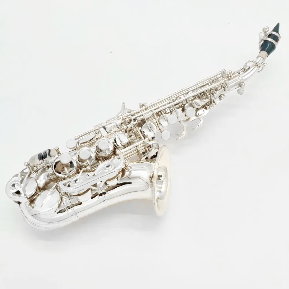 DHgate.com:Professional B-flat Soprano Saxophone - Silver-plated Pure ...