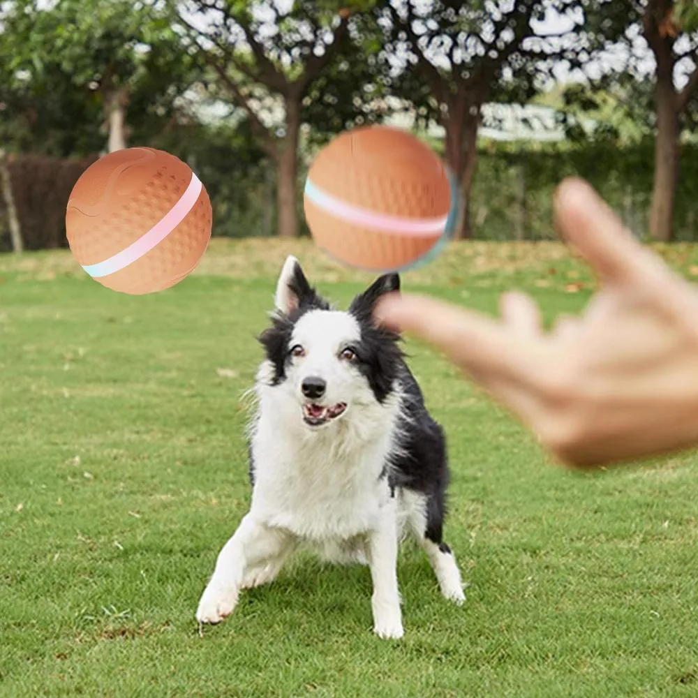 Interactive Rolling Dog Ball, Automatic Moving Ball for Pet Puppy Dog ...