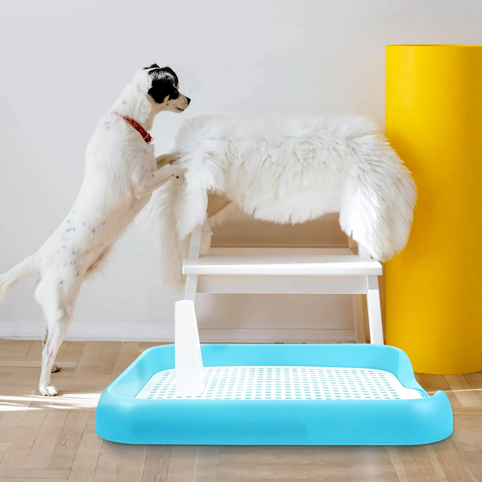 DHgate.com:Pet Indoor Toilet Box, Plastic Training Tray with Grate for ...