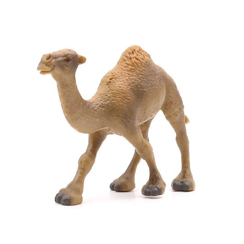 Realistic Camel Figurines - Single & Double-Humped Models for Kids ...