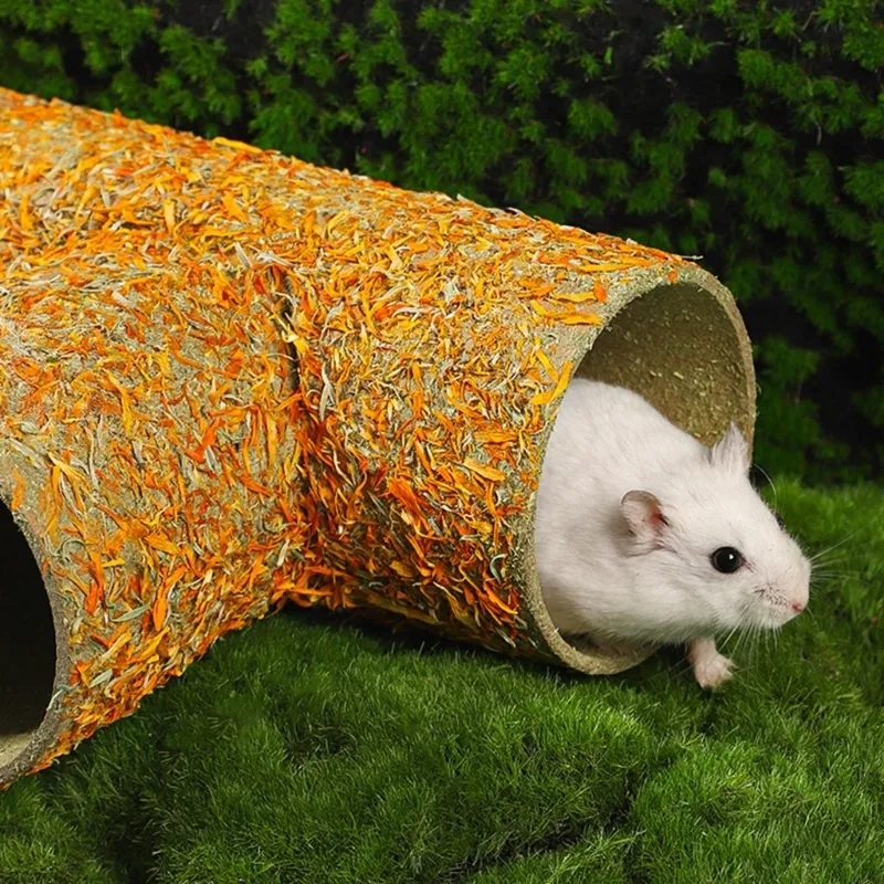 Hamster Hideout Hamster Tunnel Playground - Expandable Tube System For ...