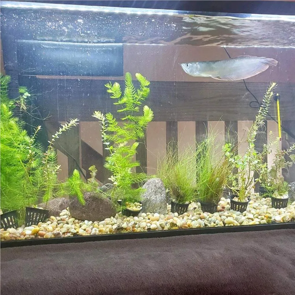 DHgate.com:12-Pack Mesh Pots Seed Starter Trays, Nursery Plant Grow ...